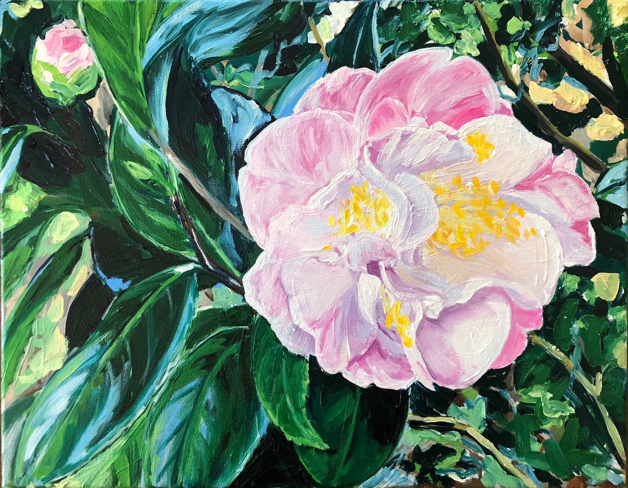 “Mrs. Lyman Clark” Camellia – Elise Nuckols Art